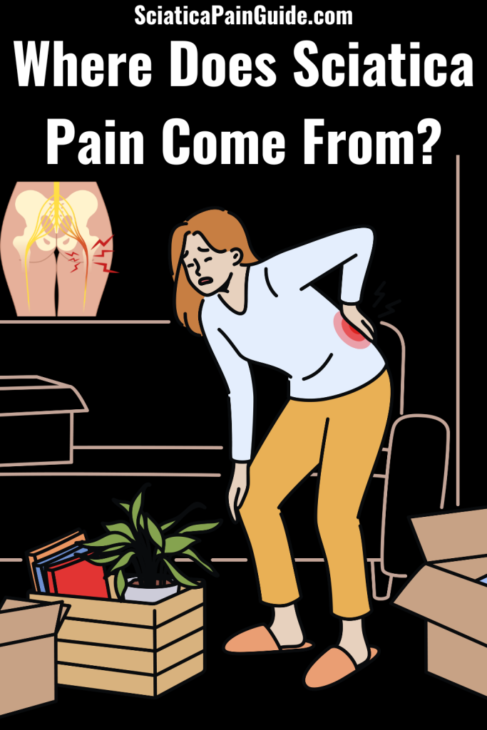 Where Does Sciatica Pain Come From - Sciatica Pain Guide