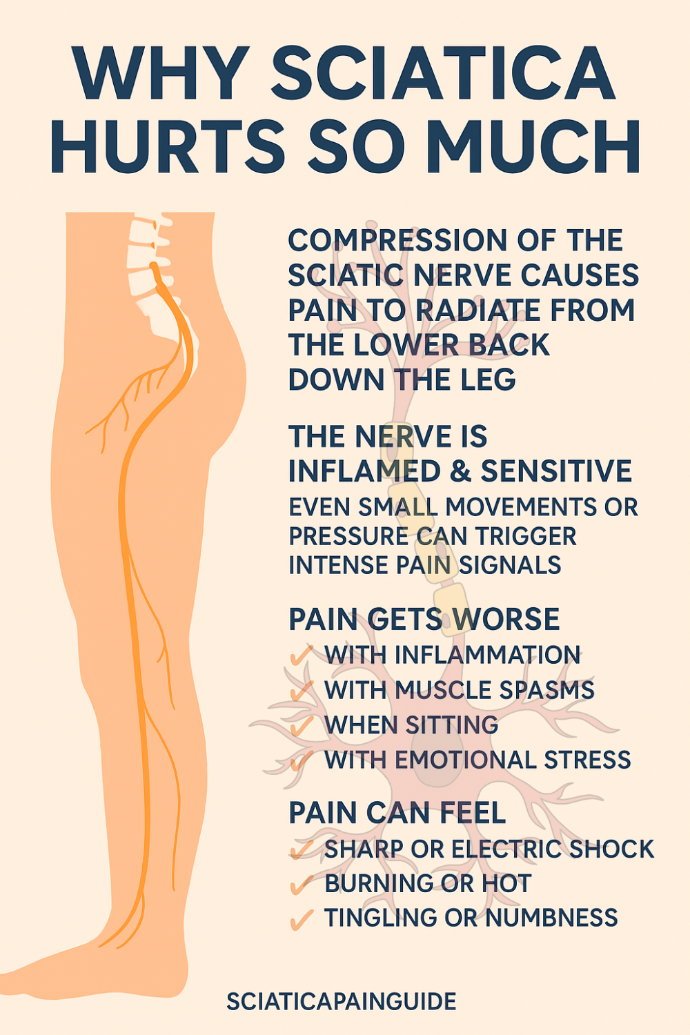 Why Is Sciatica So Painful? Understanding What Makes This Nerve Pain So Intense - Sciatica Pain ...